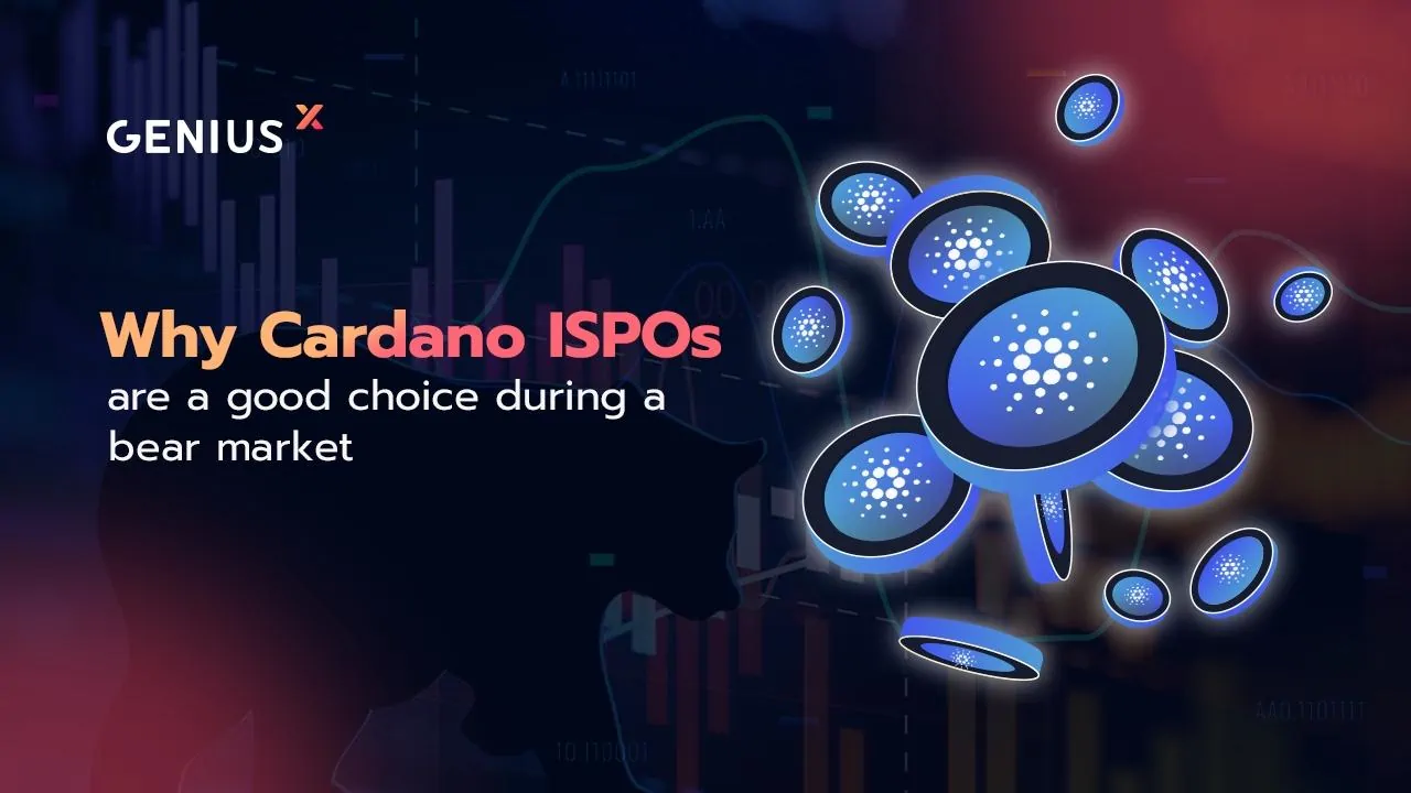 Những điều bạn cần biết về cung cấp nhóm cổ phần ban đầu của Cardano ...