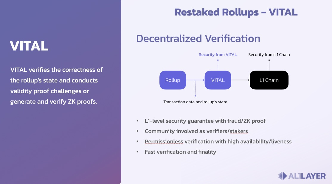 Altlayer (ALT) là gì? Tìm hiểu về dự án Altlayer và token ALT ...